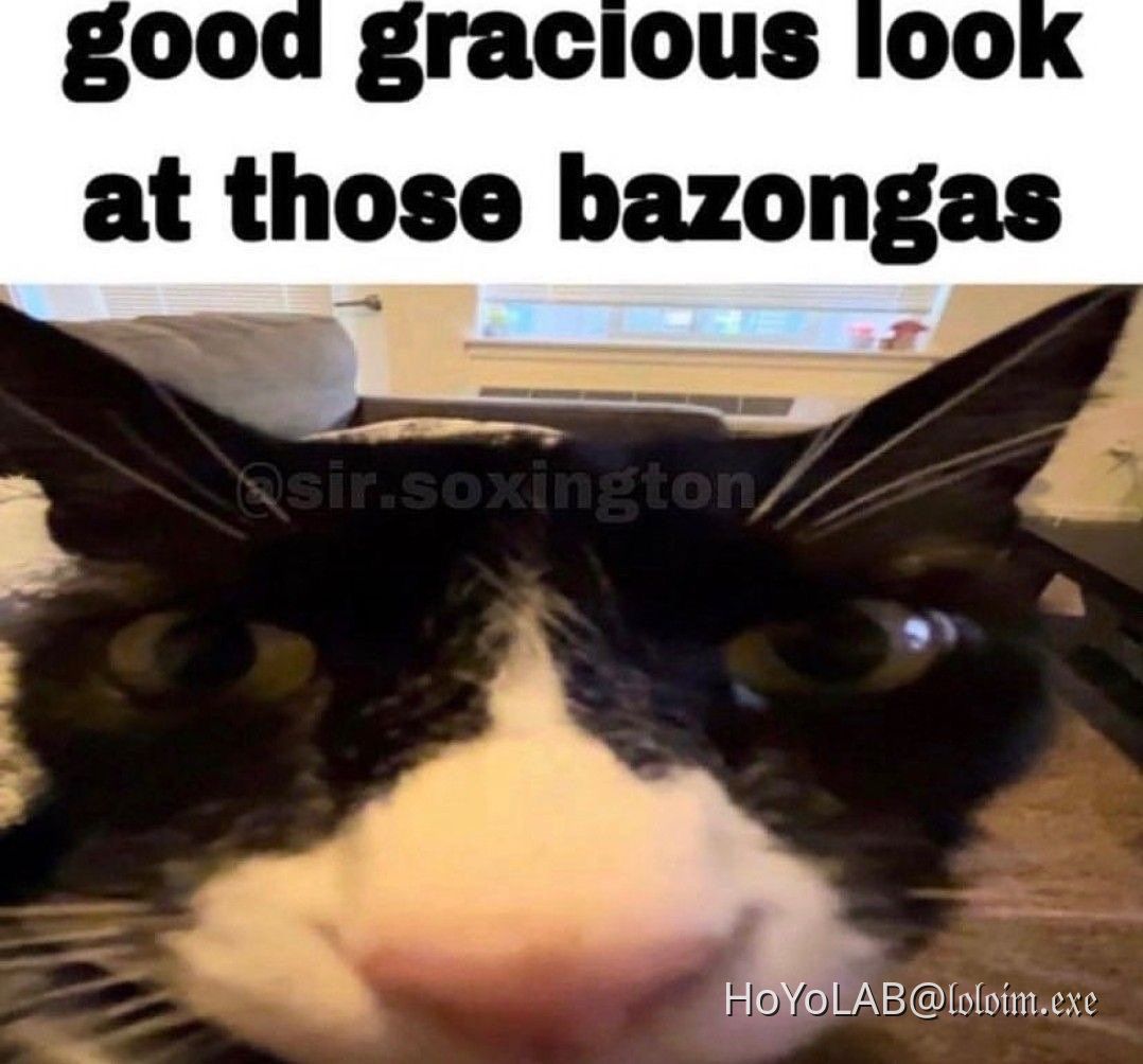 WHYY?!!! 😫😫 Genshin Impact | HoYoLAB