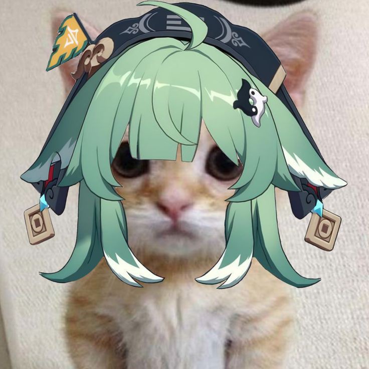 CUTIE PIEE (getting Huohuo badge day ???) Honkai: Star Rail | HoYoLAB