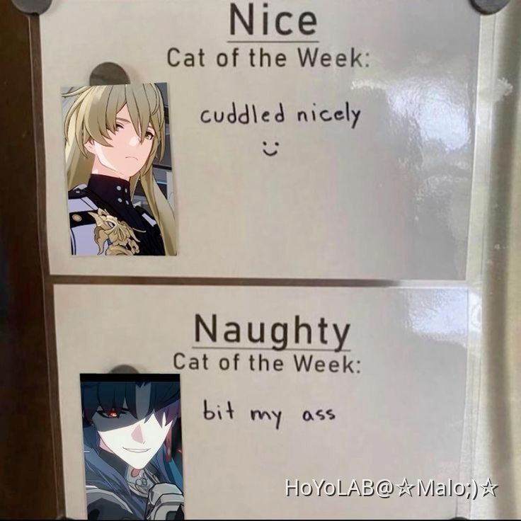 SO MANY HSR MEMES BC I SAVED TOO MANY AND NEED TO GET THEM OUT OF MY ...