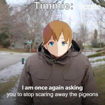 Timmie and the Pigeons Genshin Impact | HoYoLAB