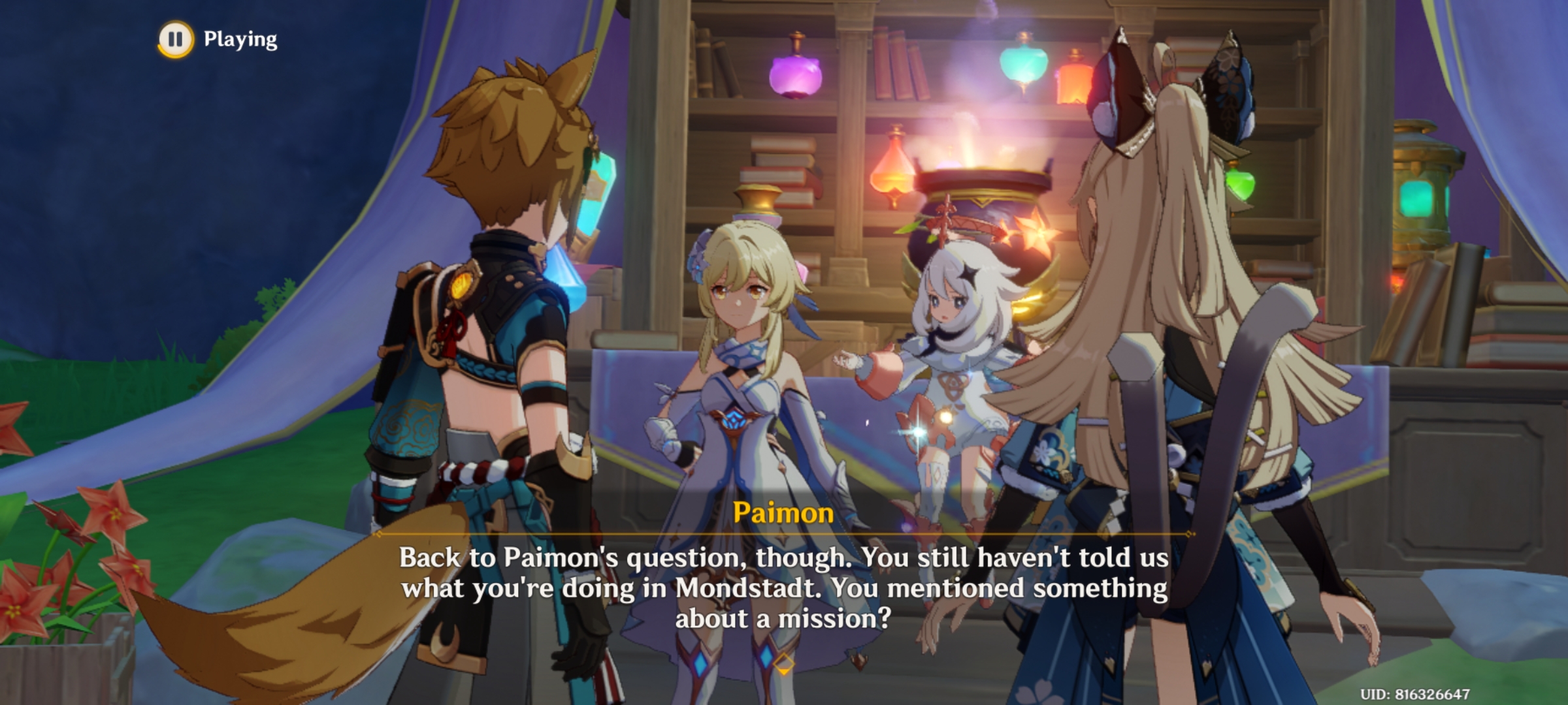 Cat and Dog from Inazuma Genshin Impact | HoYoLAB