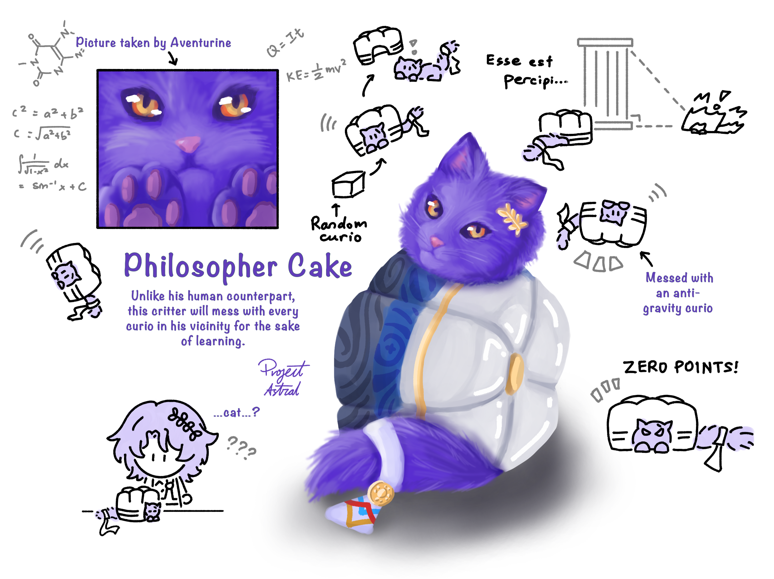 Dr Ratio Cat Cake Honkai: Star Rail | HoYoLAB