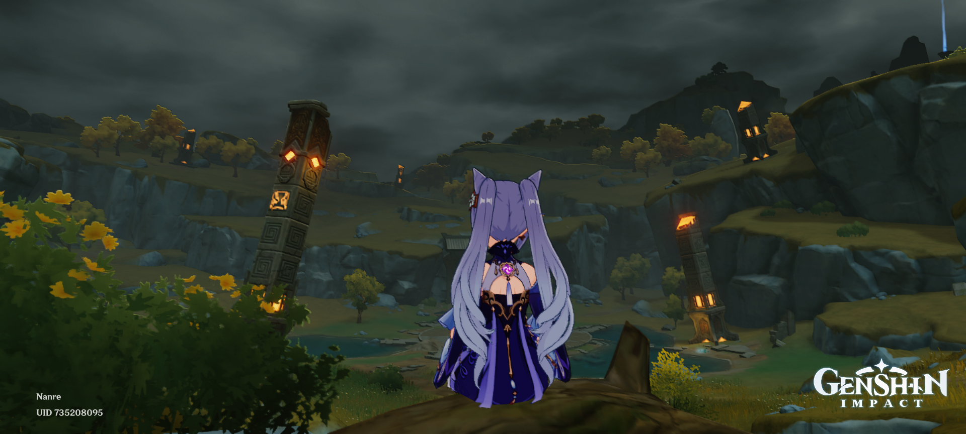 I found who she is going to meet, the seelie. Genshin Impact | HoYoLAB