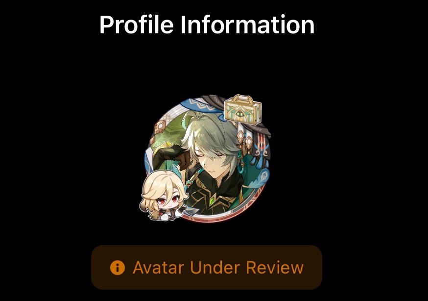 Custom Pfp / Icon / Avatar, New hoyolab update be blowing my ...