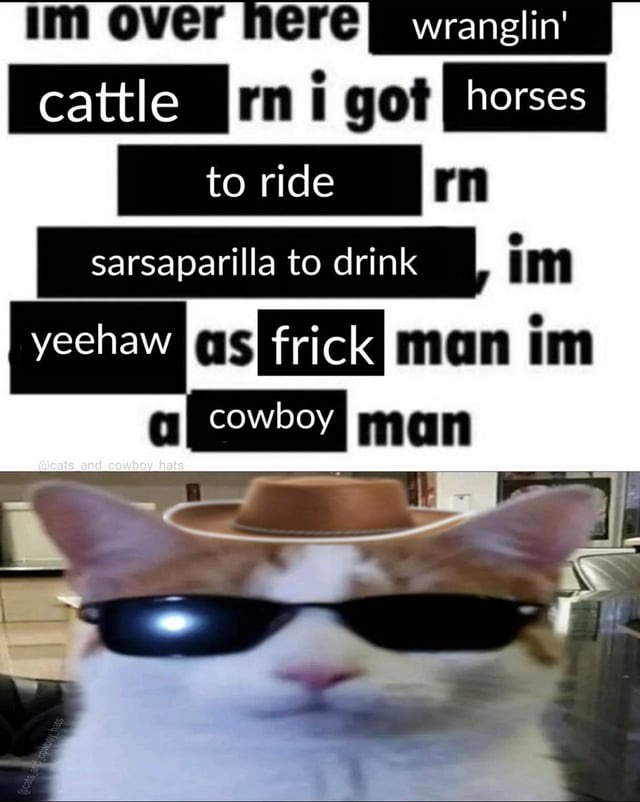 “Omggg Boothill is soooo cute i love him so much” Boothill: Honkai ...