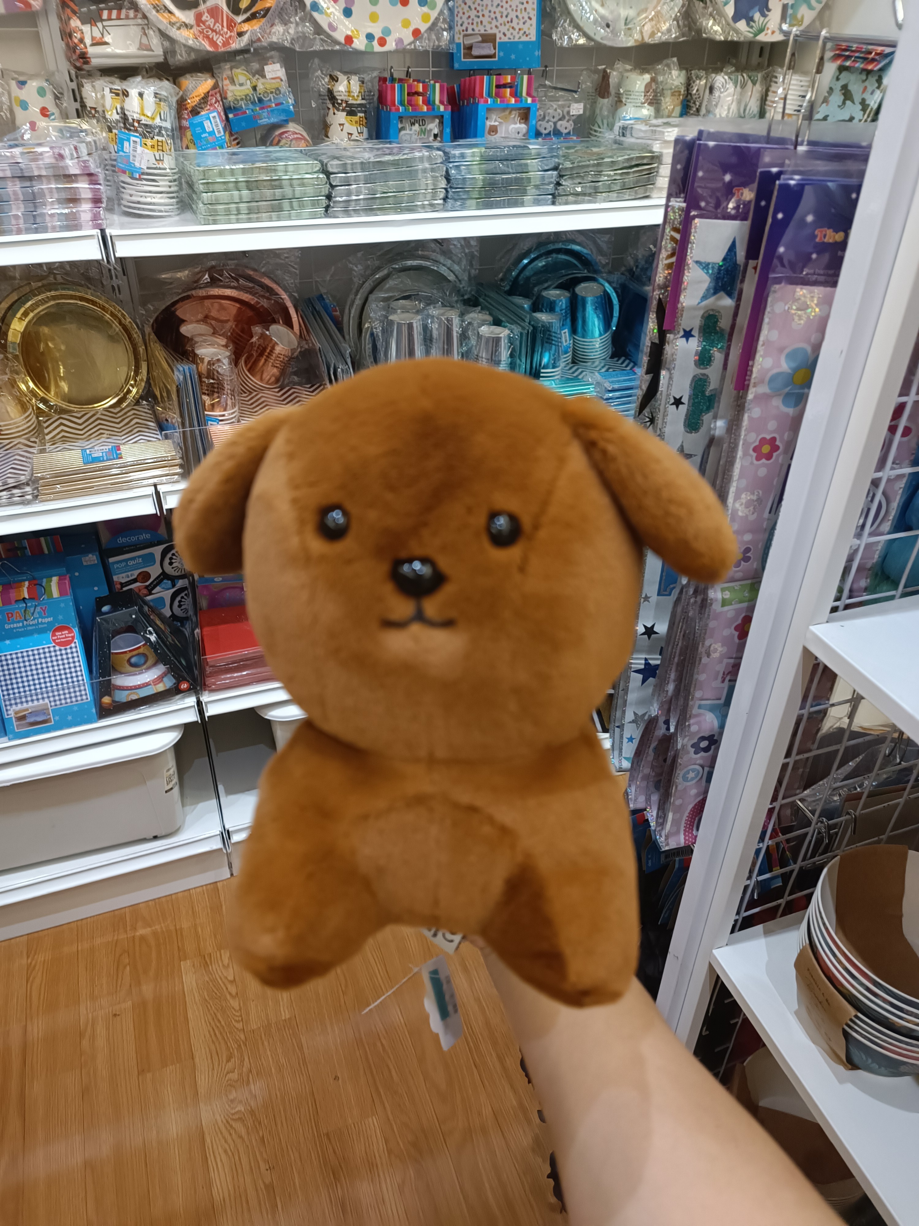 Here's a cute puppy for you Zenless Zone Zero | HoYoLAB