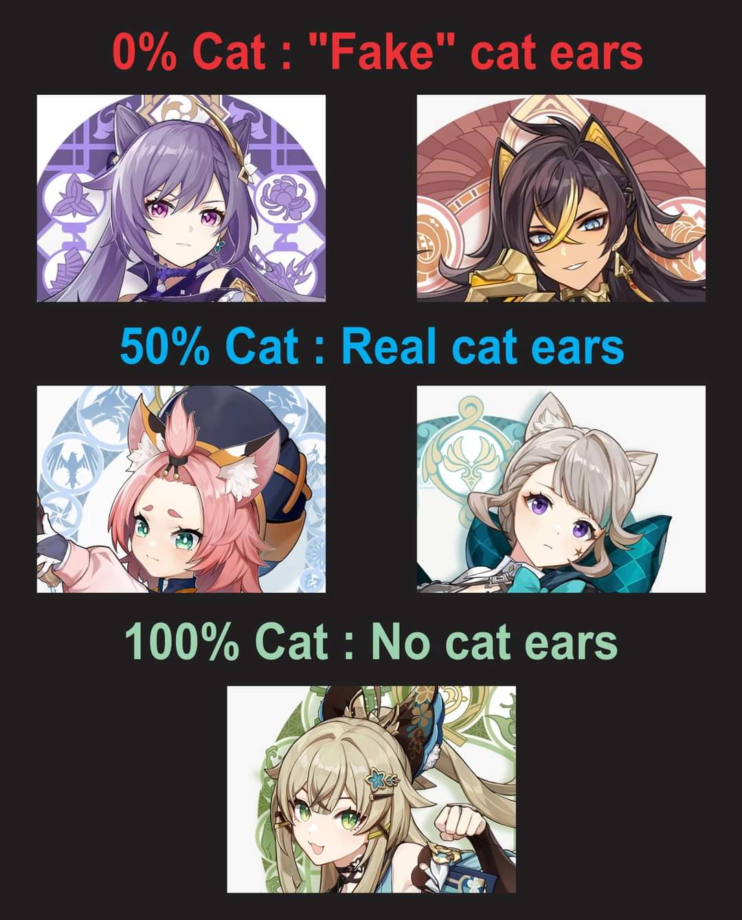 Cats in genshin impact Genshin Impact | HoYoLAB