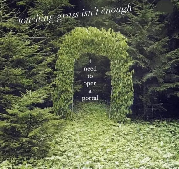 Touch the grass Genshin Impact | HoYoLAB