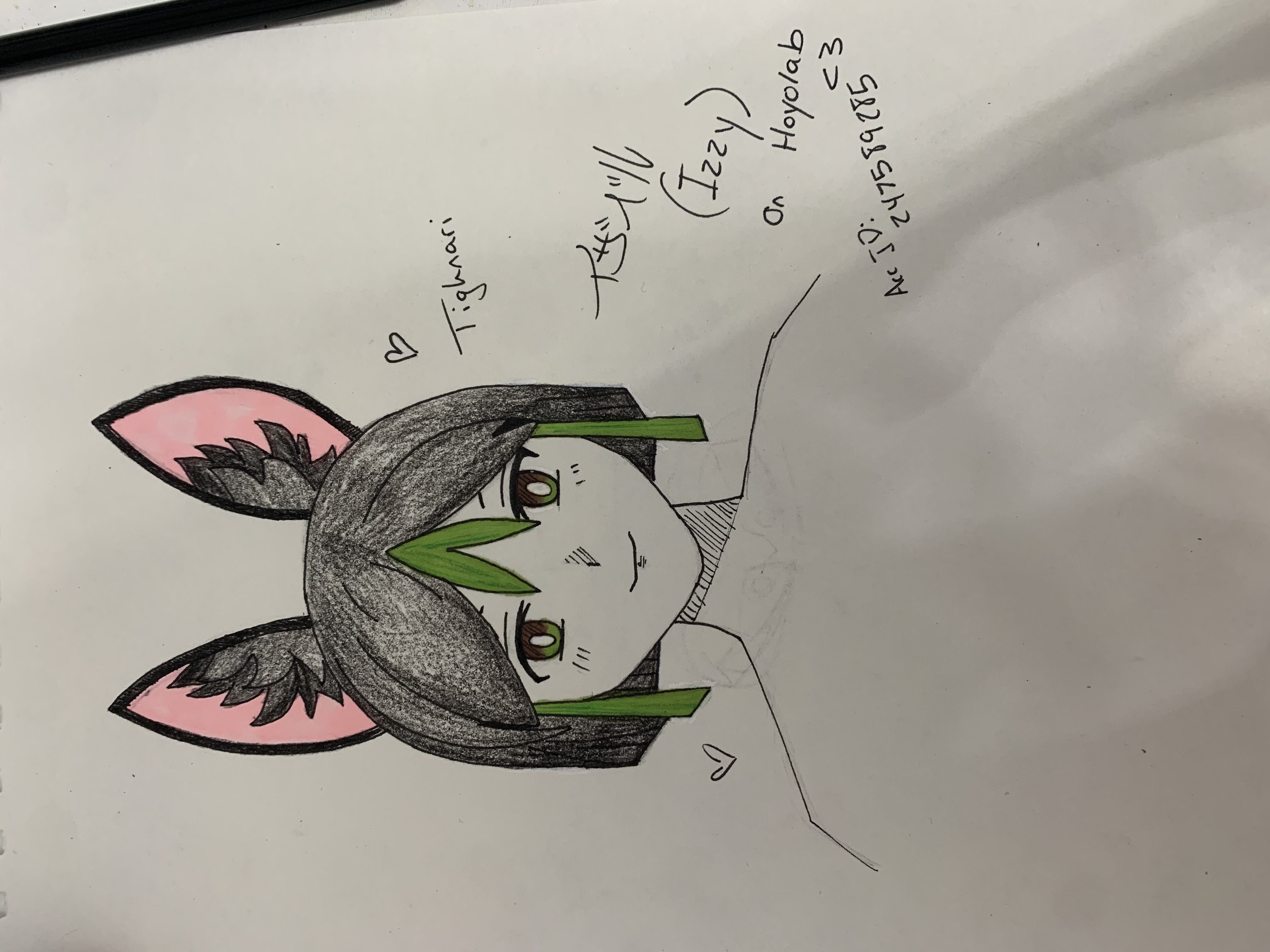 I drew Tighnari!!! 💚🐾 Genshin Impact | HoYoLAB