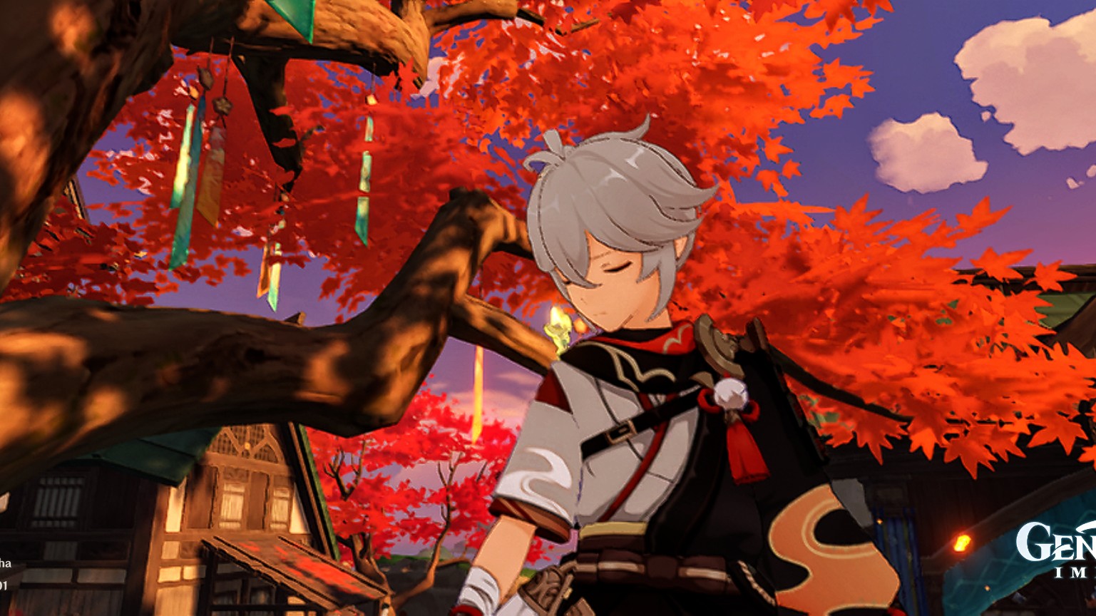 🍁🍂Kazuha Banner Wish🍂🍁 Genshin Impact | HoYoLAB