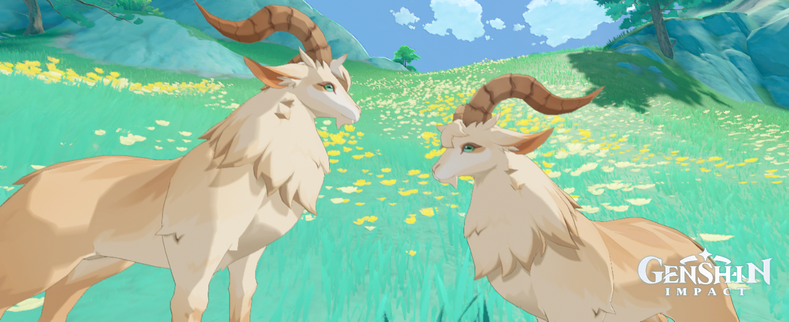 📸 Genshin Impact | HoYoLAB