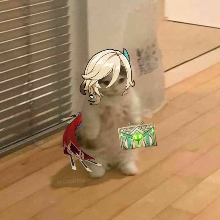 cat kaveh Genshin Impact | HoYoLAB