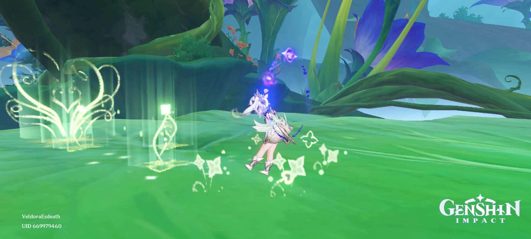 Nahida normal attack + bonus Nahida x Raiden Shogun combo attack ...