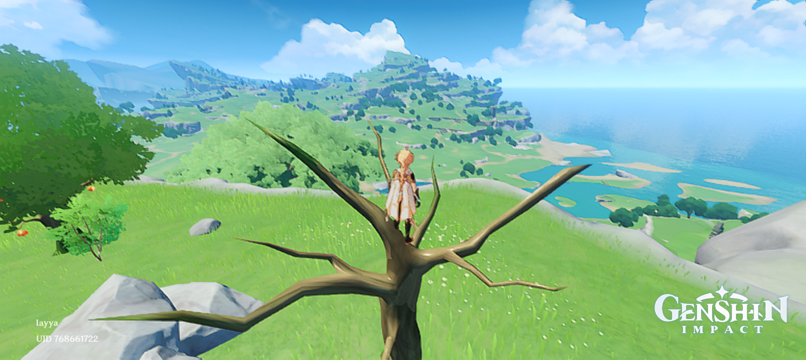 just a smol photo of aether:) Genshin Impact | HoYoLAB