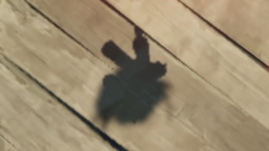 [Genshin Shadow Challenge #38] Who’s That Character? Genshin Impact ...