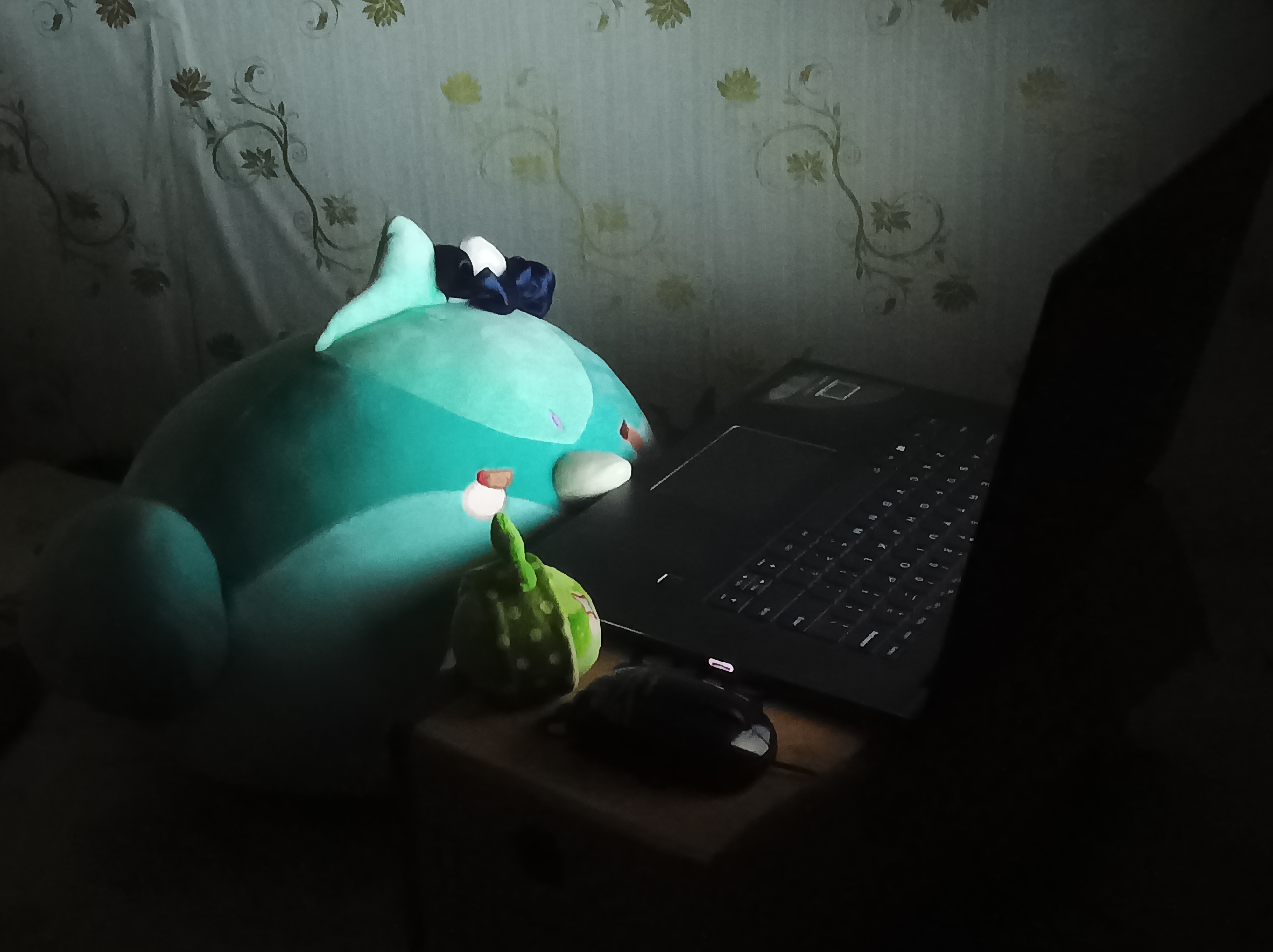 Busy BB Xiao Genshin Impact | HoYoLAB