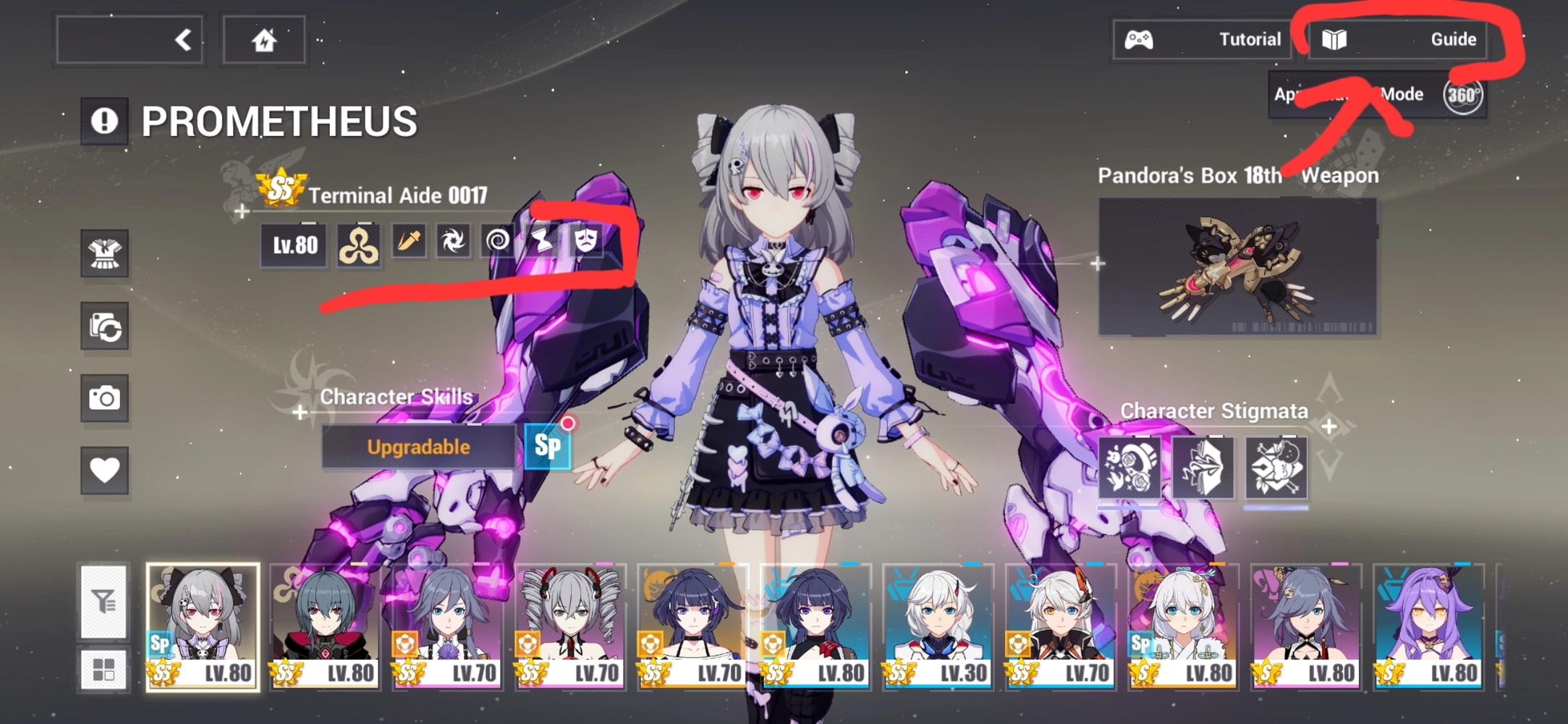 Team Building Basics: an HI3 Guide for New Players Honkai Impact 3rd ...