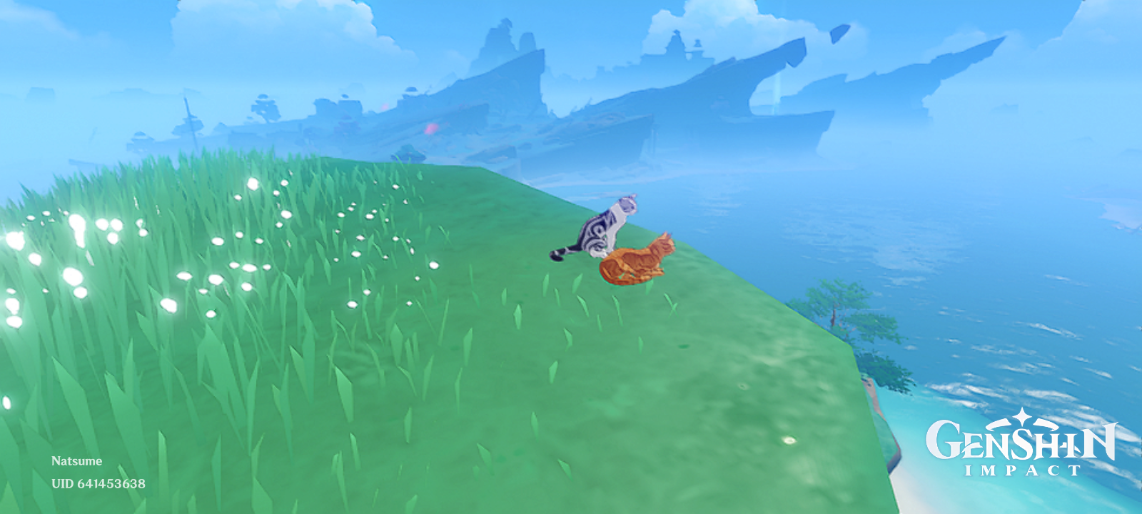 cats in inazuma Genshin Impact | HoYoLAB