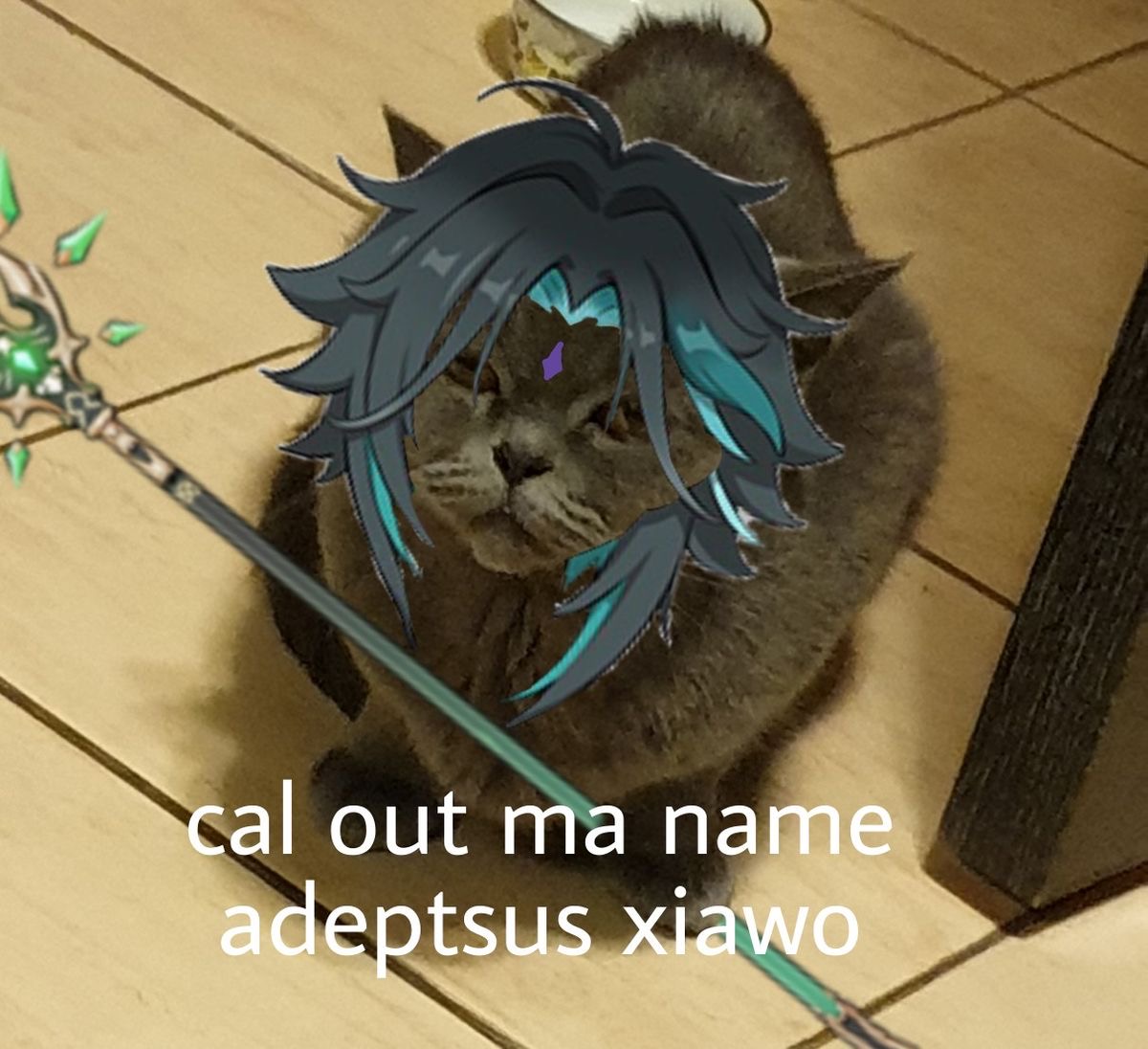 Xiawo Genshin Impact | HoYoLAB