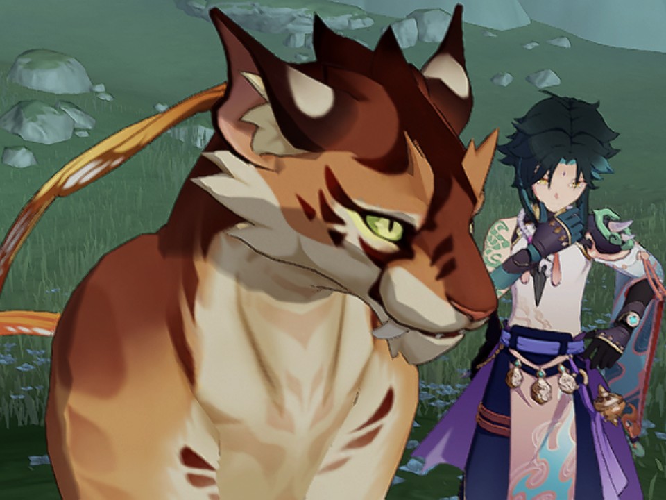 Some Xiao Pics I Took