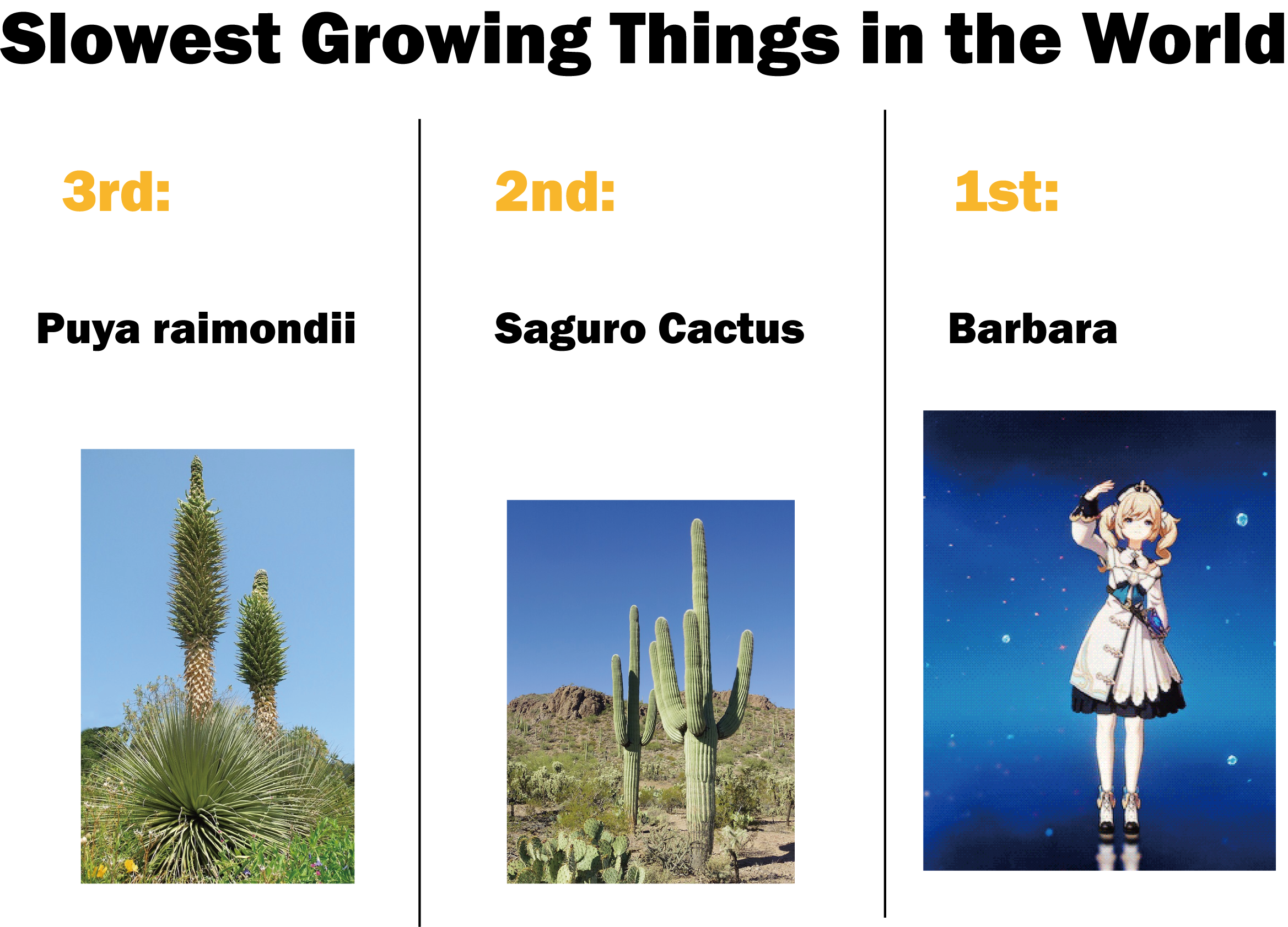 Barbara Meme :3 Genshin Impact | HoYoLAB