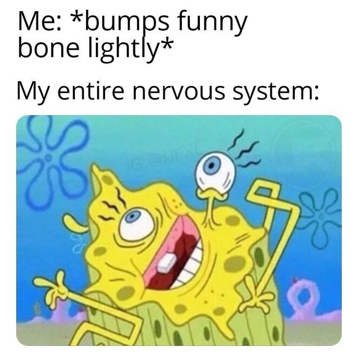 memes i sto- I mean found | HoYoLAB