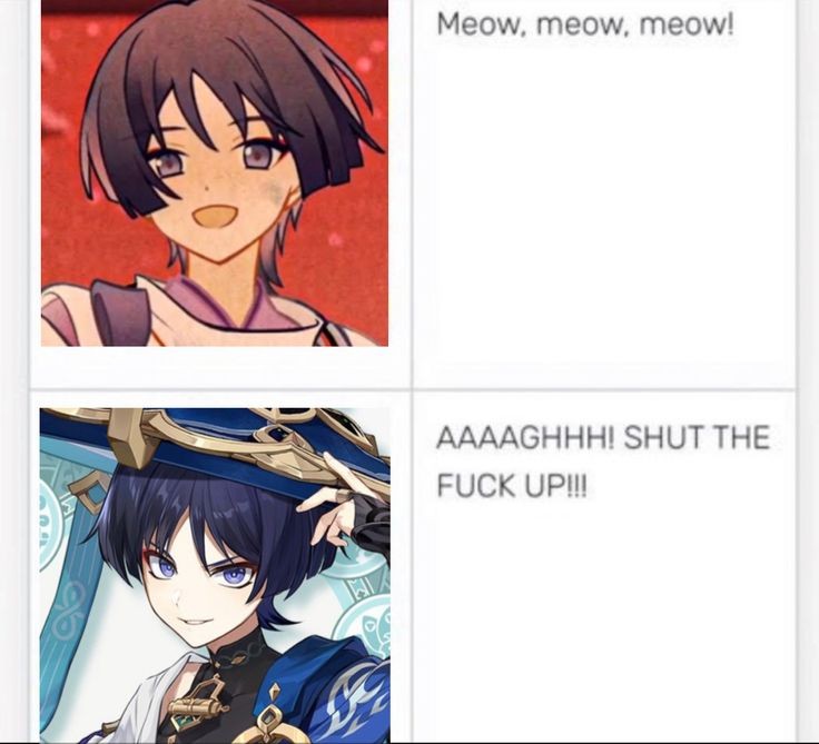 Wanderer memes :3 Genshin Impact | HoYoLAB