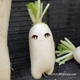 the little radish Nahida Genshin Impact | HoYoLAB