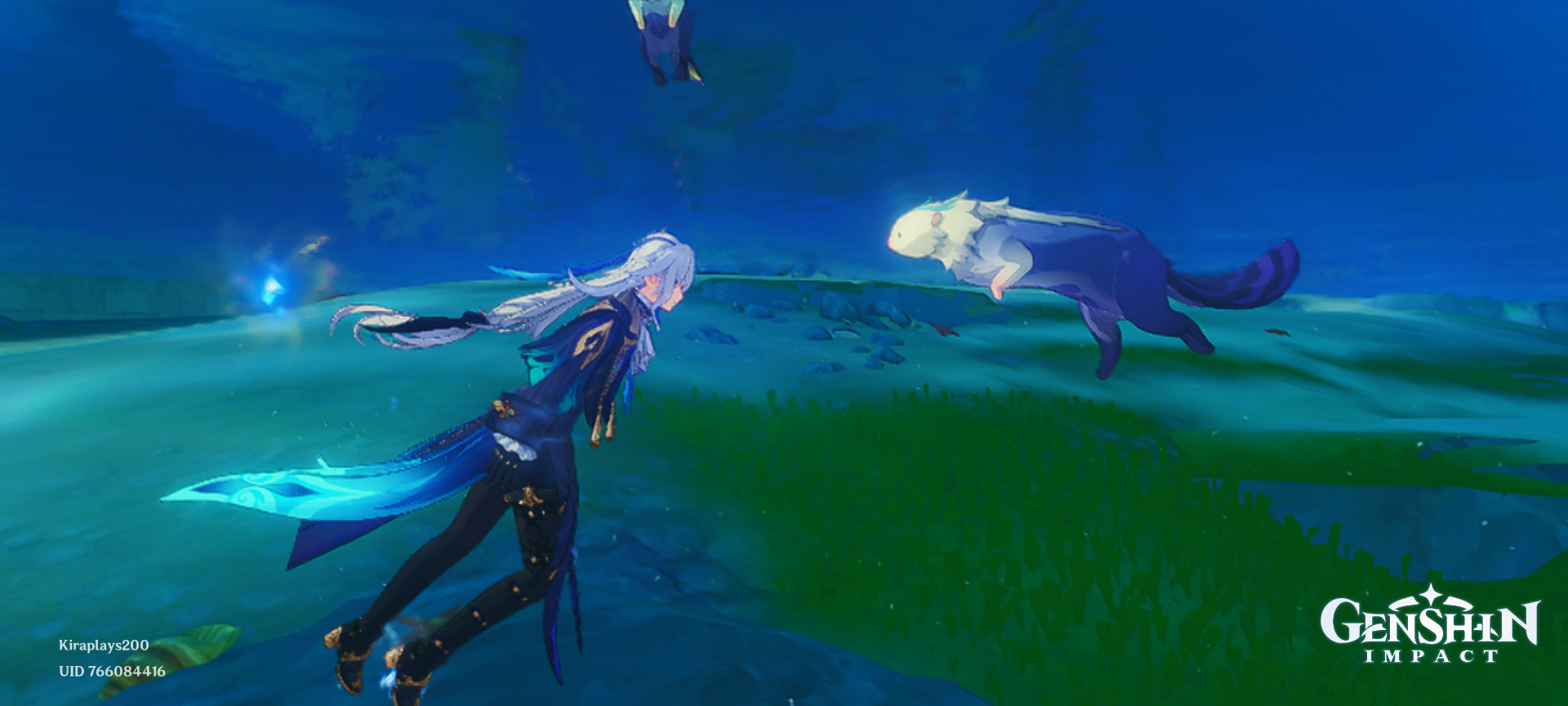 My otter army Genshin Impact | HoYoLAB