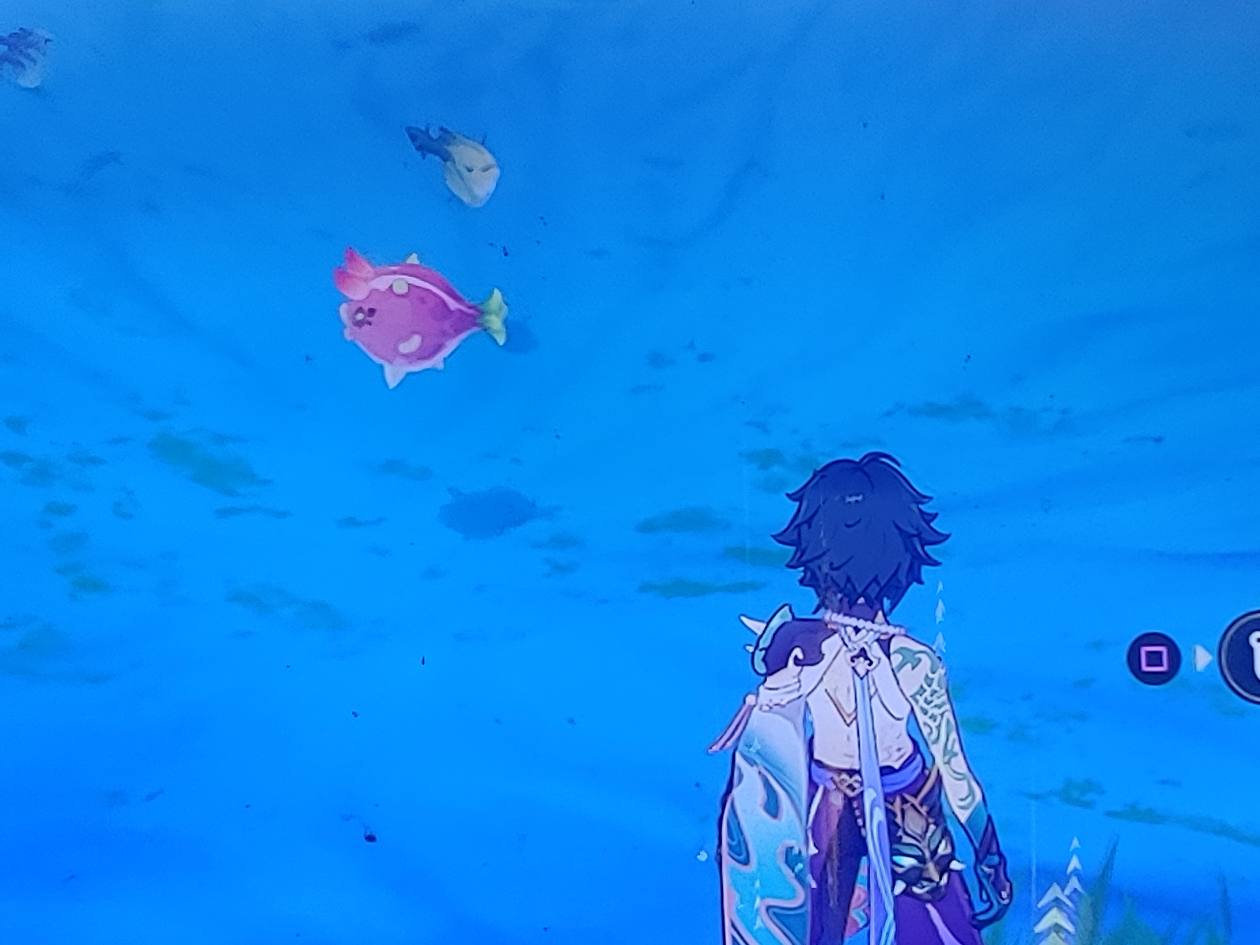 One of the Rarest CATCHABLE fish in Teyvat! Genshin Impact | HoYoLAB