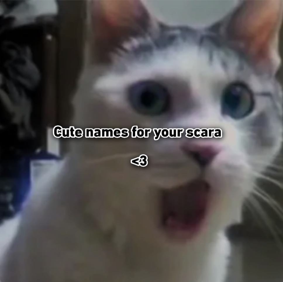 cute names for scara
