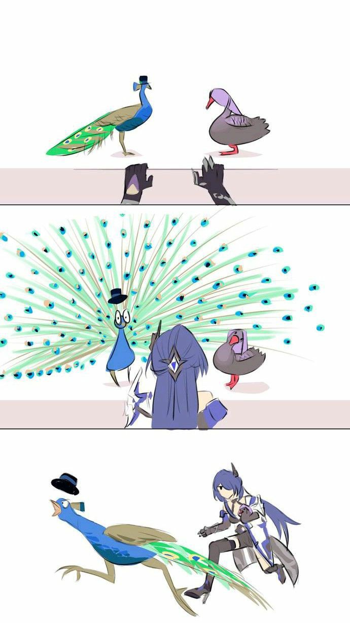 Bird Honkai: Star Rail | HoYoLAB