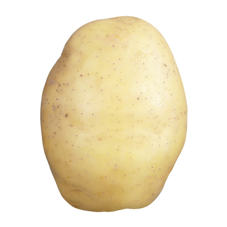 Potato for companionship Genshin Impact | HoYoLAB