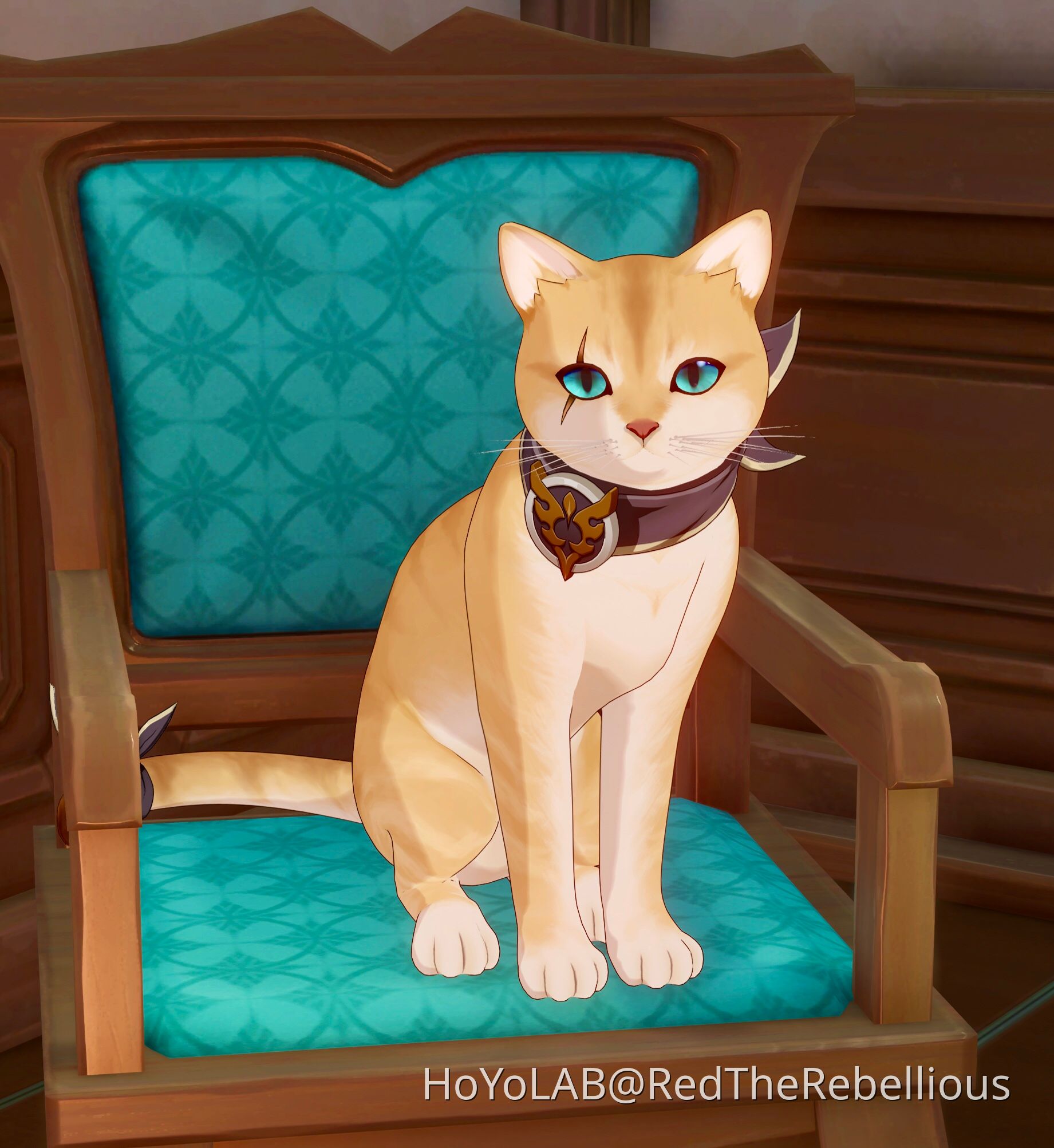 Final Day of Cat Event Genshin Impact | HoYoLAB