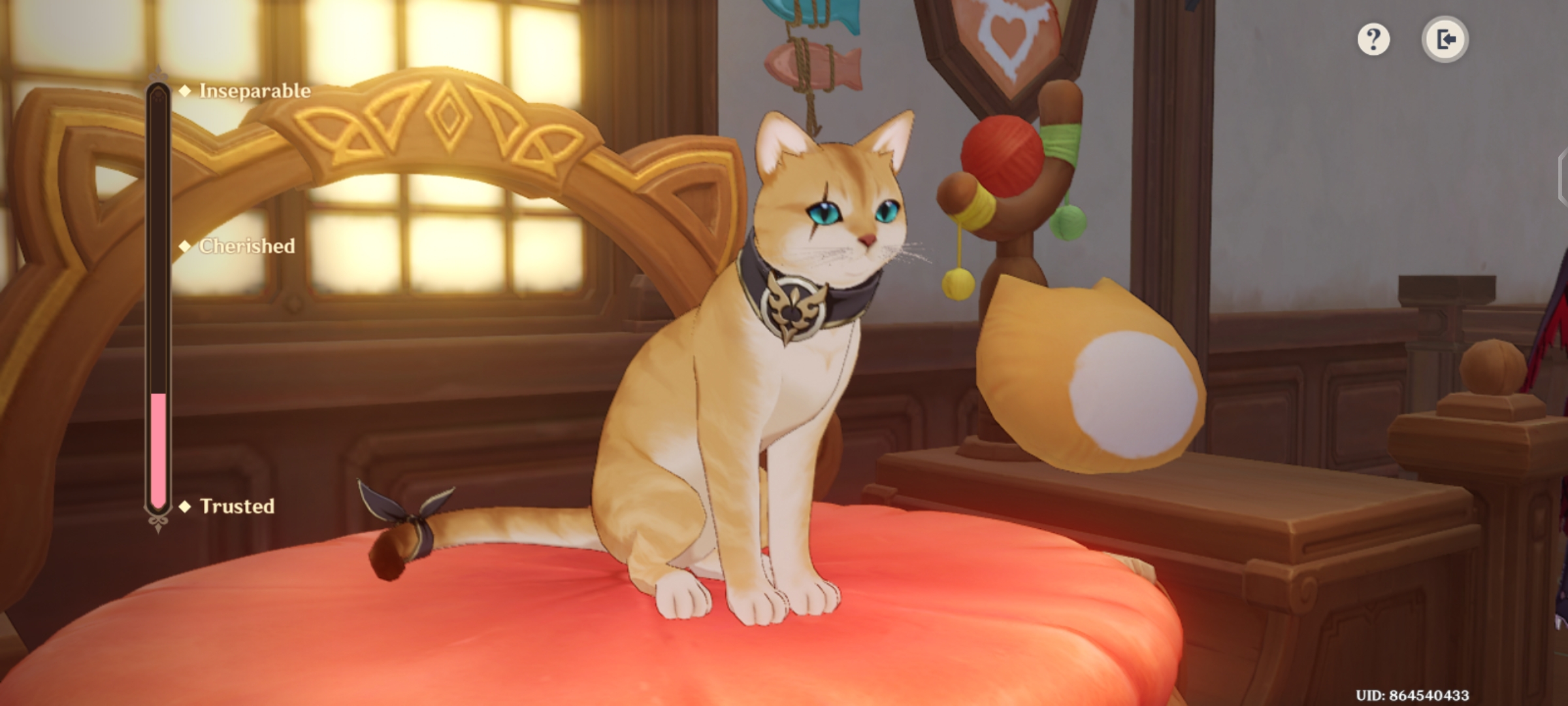 ginger cats Genshin Impact | HoYoLAB