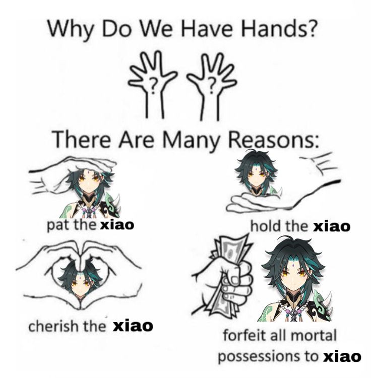 my personal reasons to have hands Genshin Impact | HoYoLAB