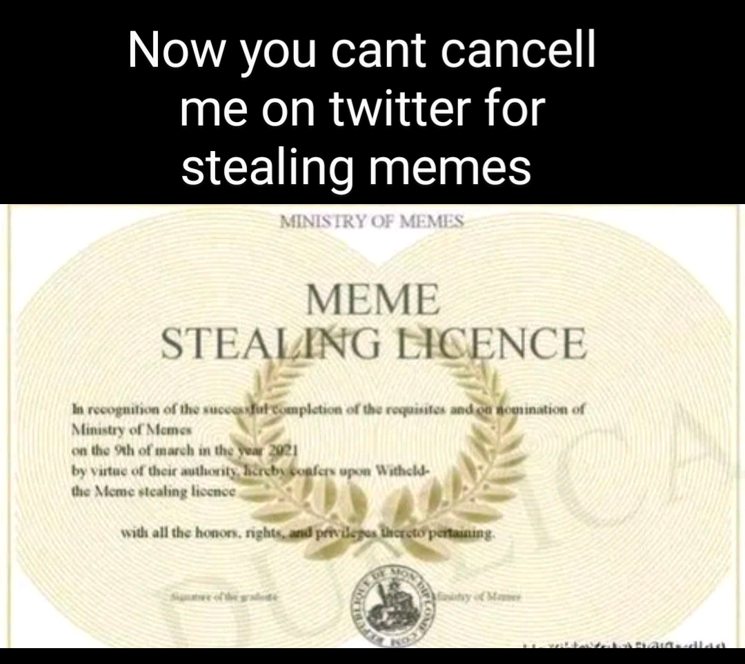 You cant take me too court for stealing, i have a license Genshin ...