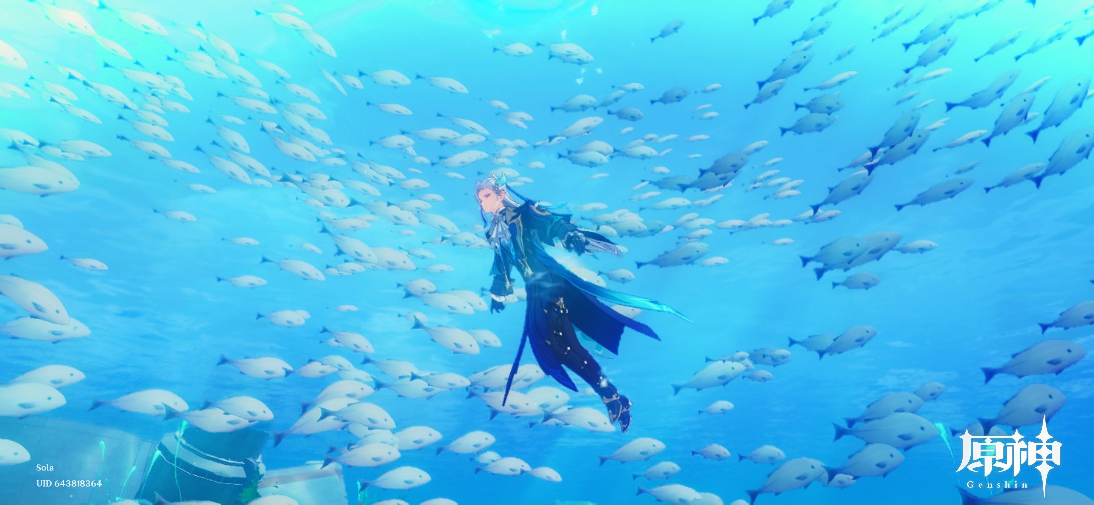 Fish fish fish Genshin Impact | HoYoLAB