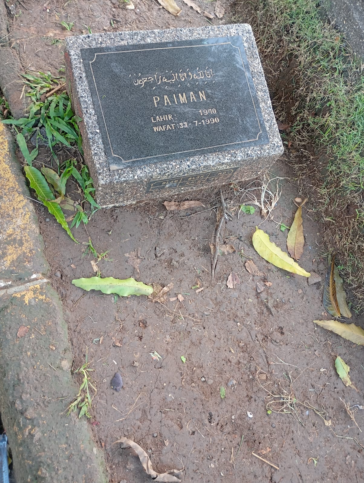 Here lies Paiman, the long lost brother of Paimon Genshin Impact | HoYoLAB