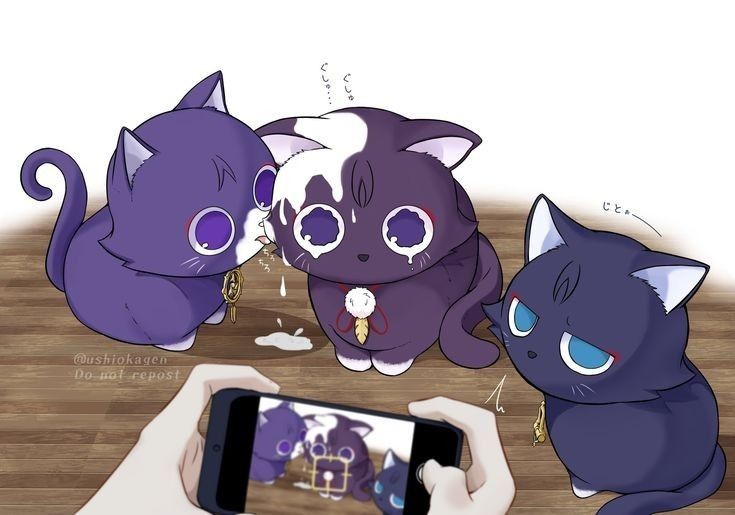 Kabukimeow, Scarameow and Nyanderer :3 Genshin Impact | HoYoLAB