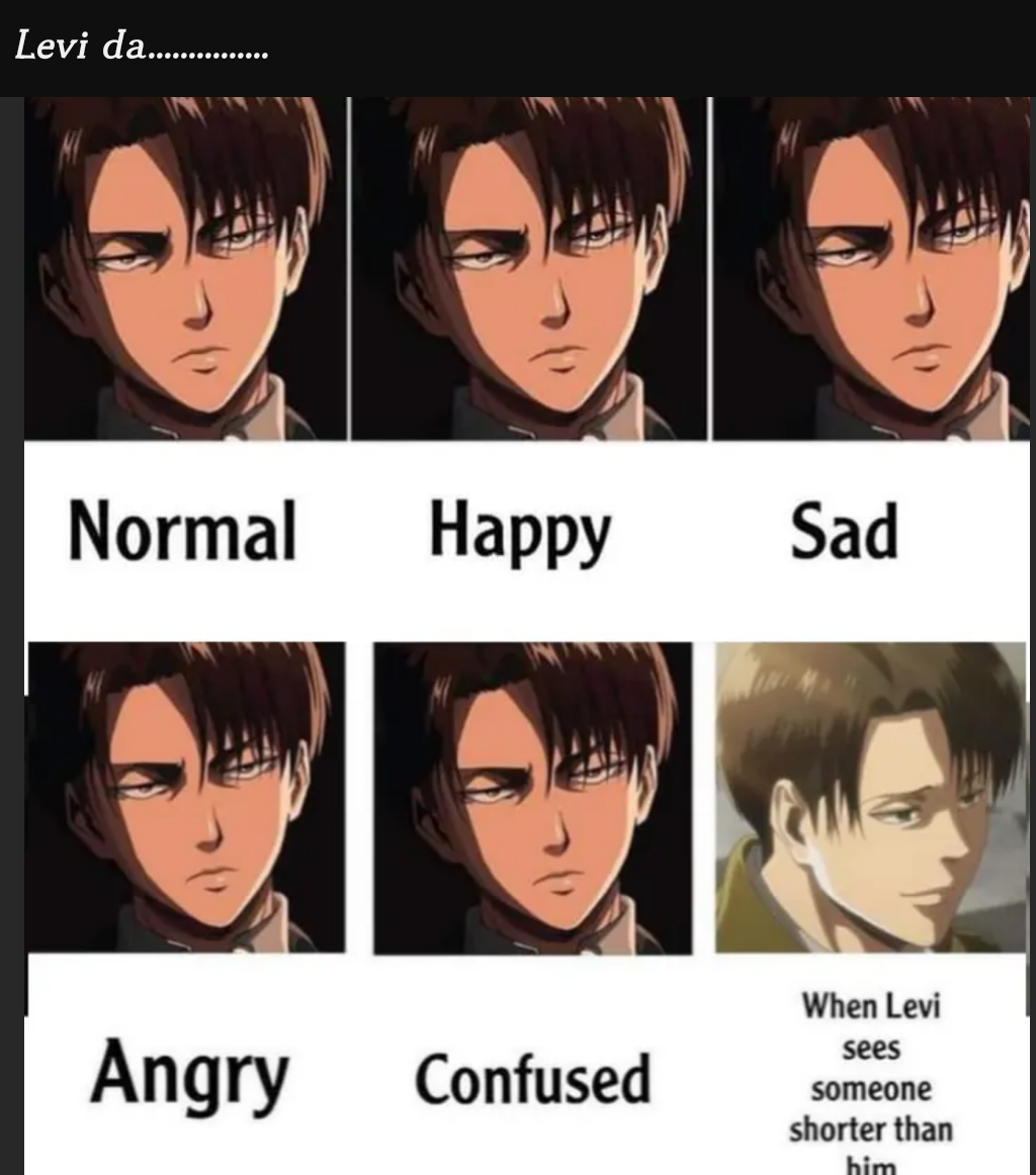 Levi da.....😅 | HoYoLAB