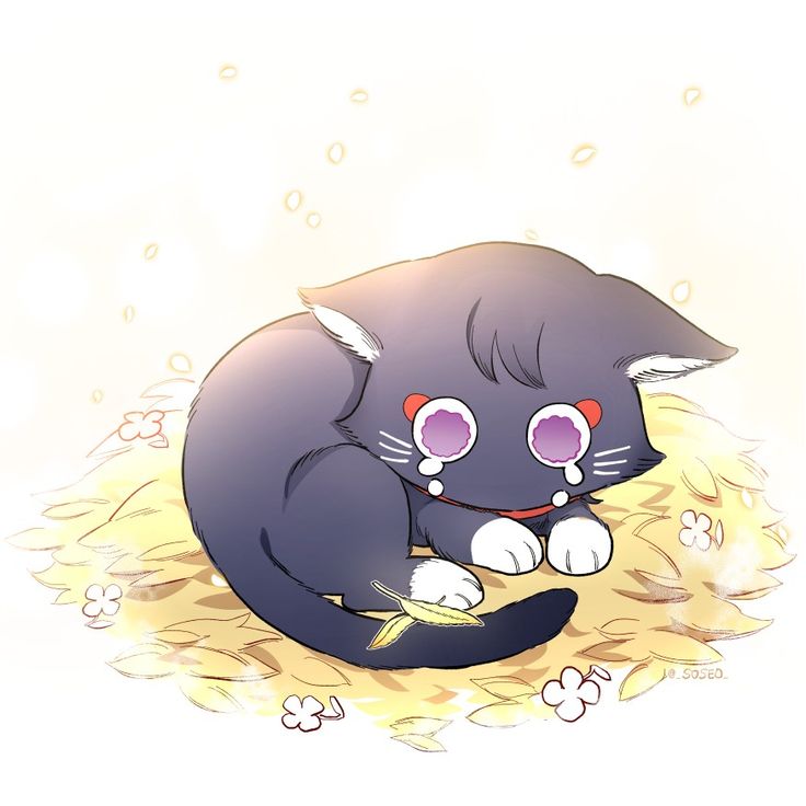 scarameow wallpaper Genshin Impact | HoYoLAB