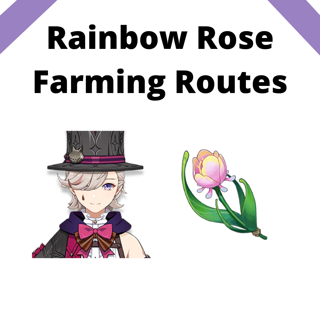 Rainbow Roses Farming Routes! Genshin Impact | HoYoLAB