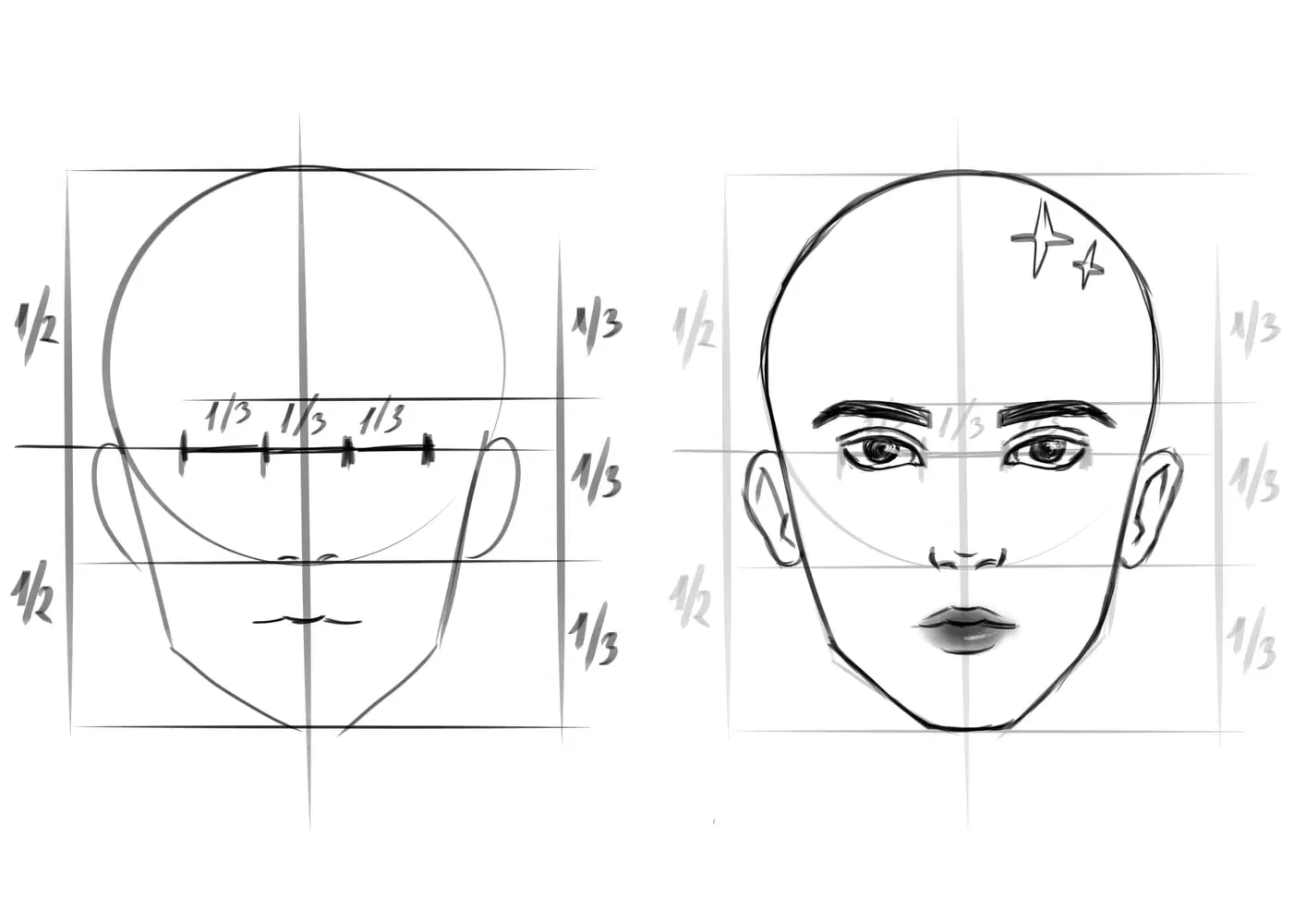 how to draw human head proportions