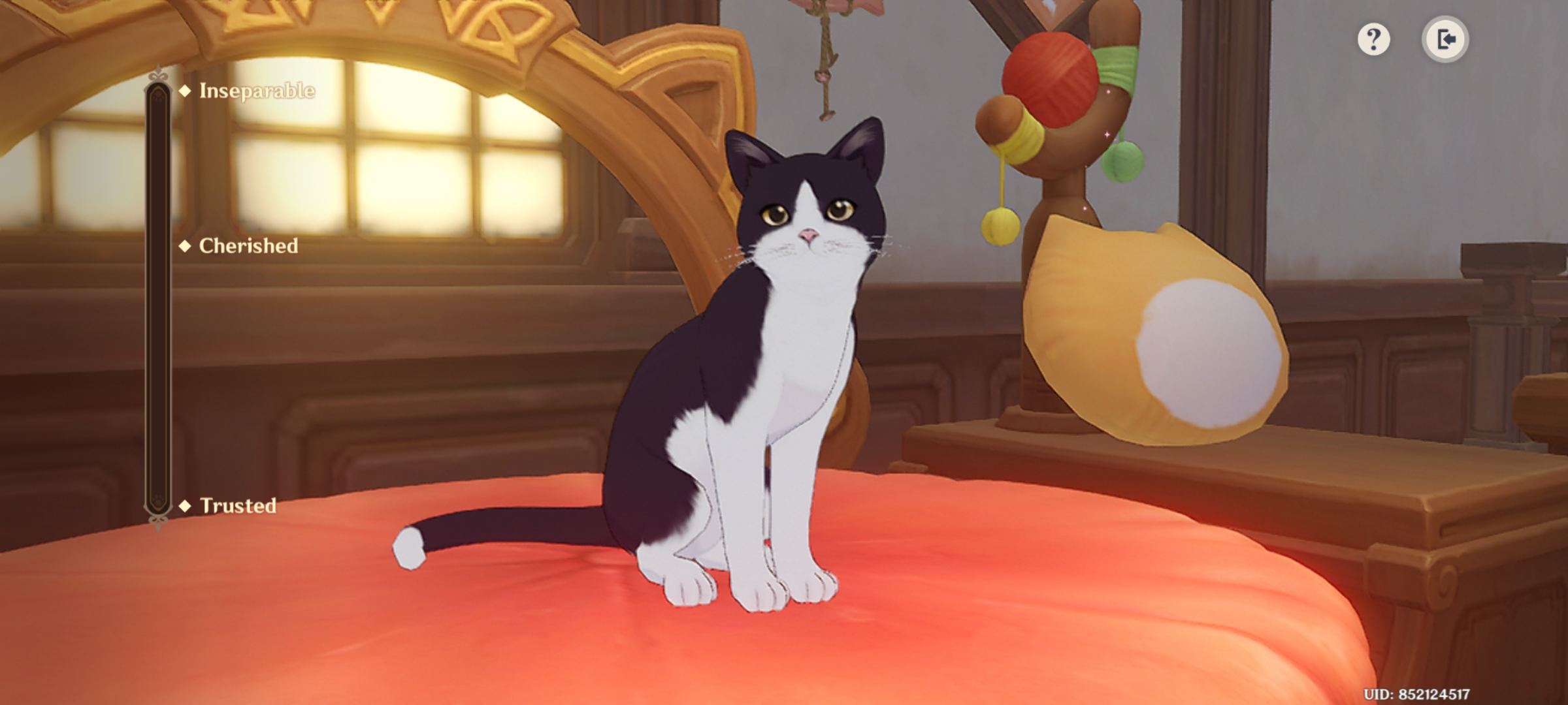 Genshin cats Genshin Impact | HoYoLAB