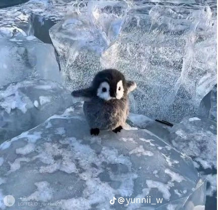 Kanade penguin | HoYoLAB