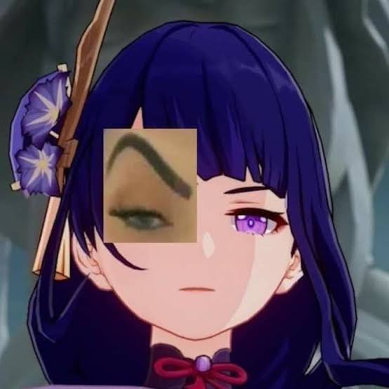 Daily Raiden Meme #3 Genshin Impact | HoYoLAB