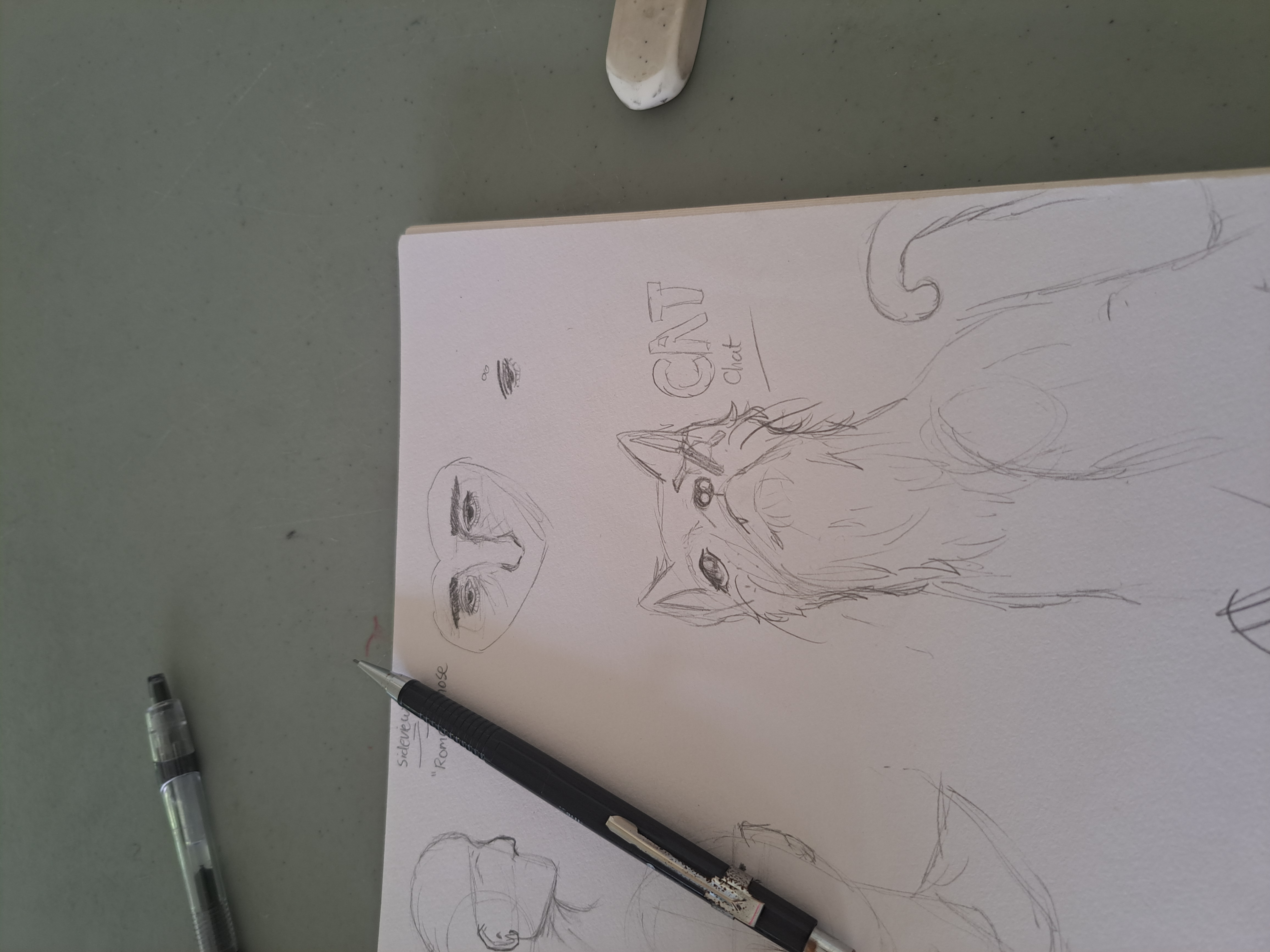 i drew a cat in class. which genshin char would it be? (it can be an oc ...