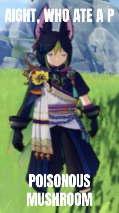 Tighnari memes bc why not Genshin Impact | HoYoLAB