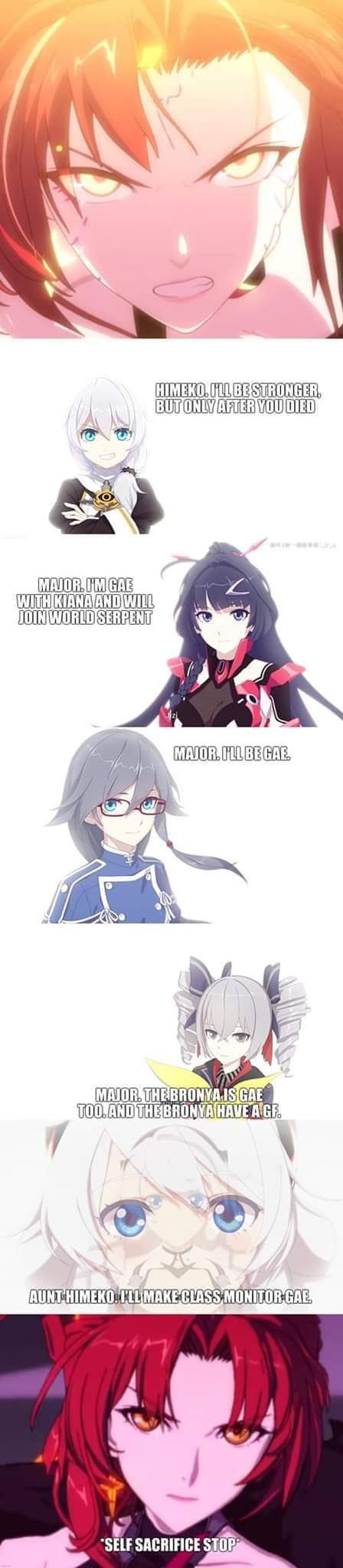 HI3 memes I saved a long time ago (12) Honkai Impact 3rd | HoYoLAB